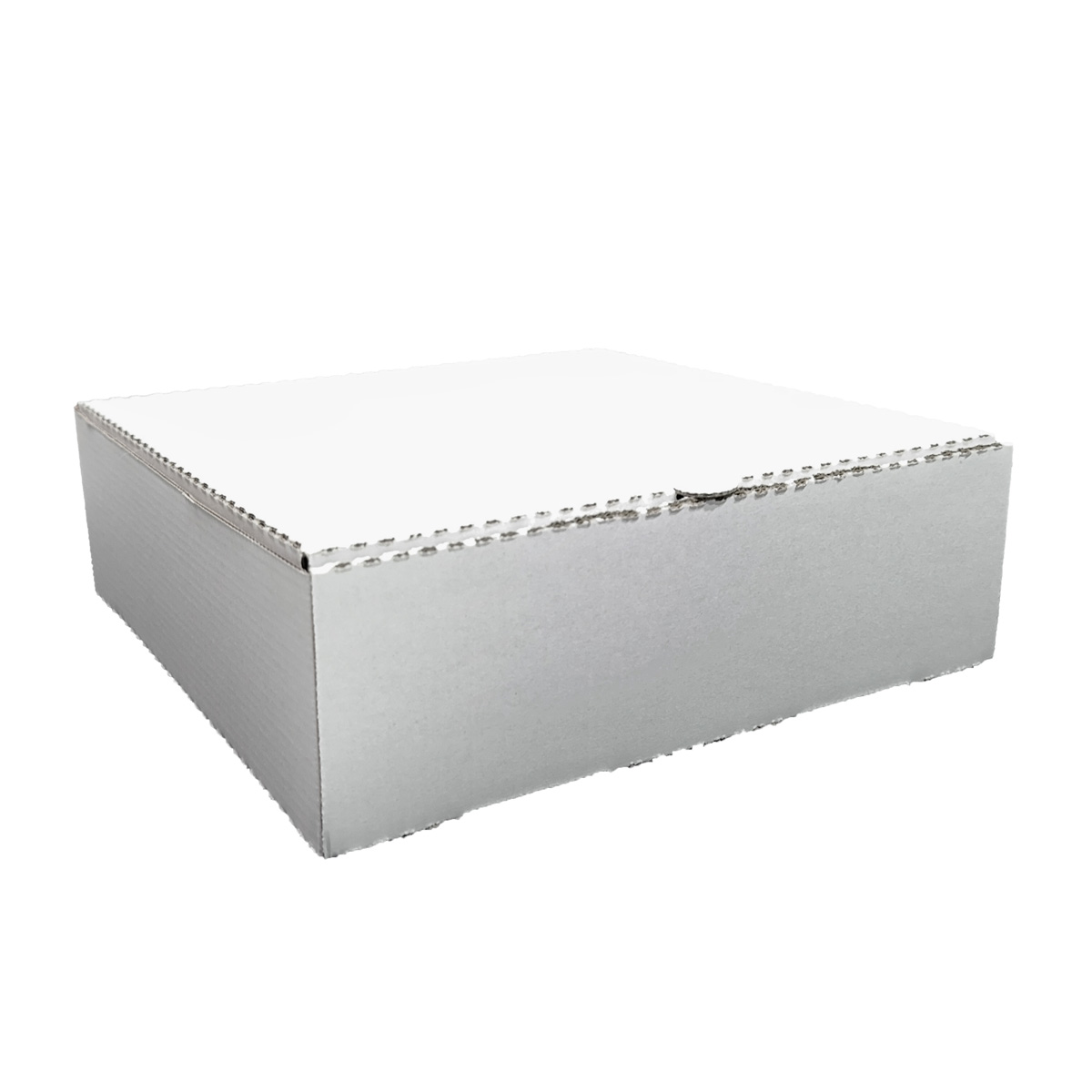 Kraft Recycle Paper Fish & Chips Box Small | ECO friendly | Natural ...