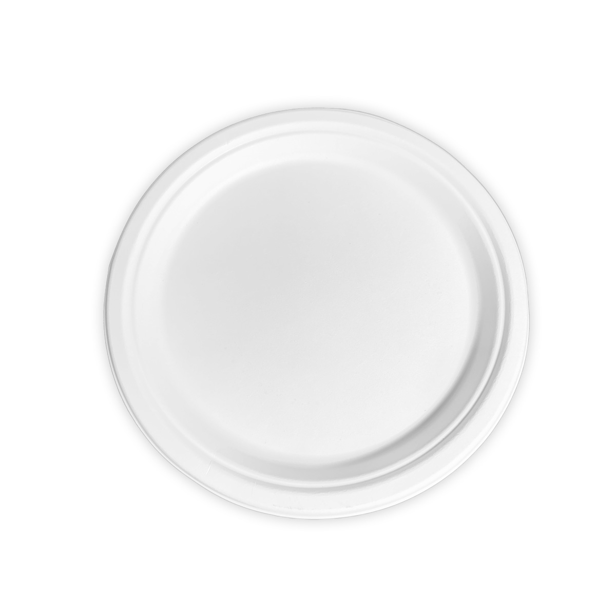 10 inch Sugarcane Round Plate | ECO friendly | Natural Green Packaging