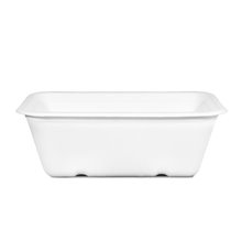 Sugarcane | ECO friendly | Natural Green Packaging